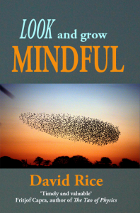look and grow Mindful | gemmamawdsley
